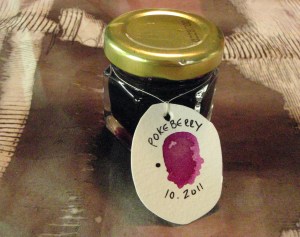 Pokeberry Ink | spacepastepress